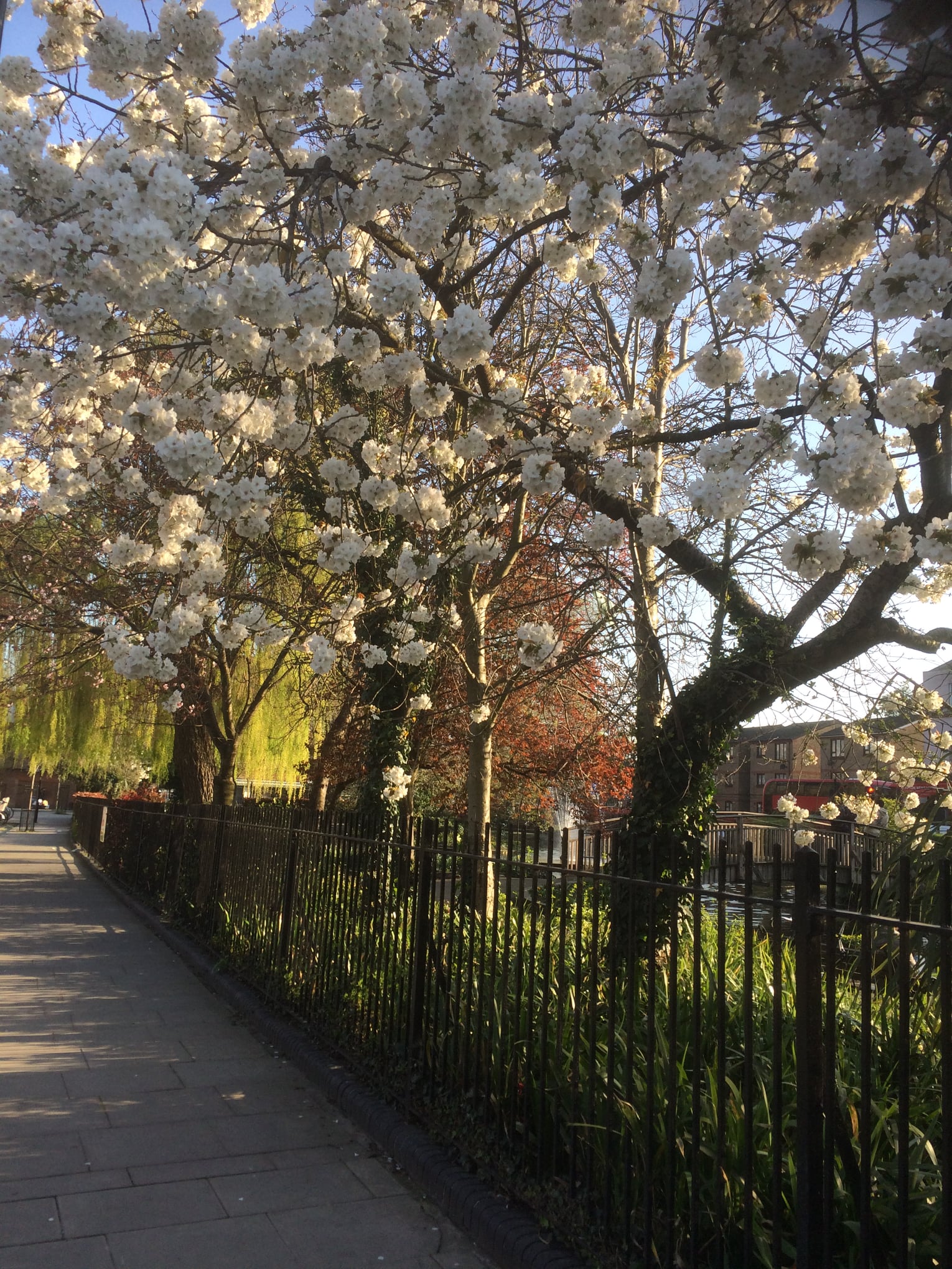Good Friday Stations of the Cross Walk