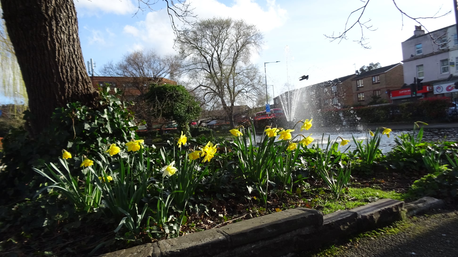 Could it be, that Spring is here?